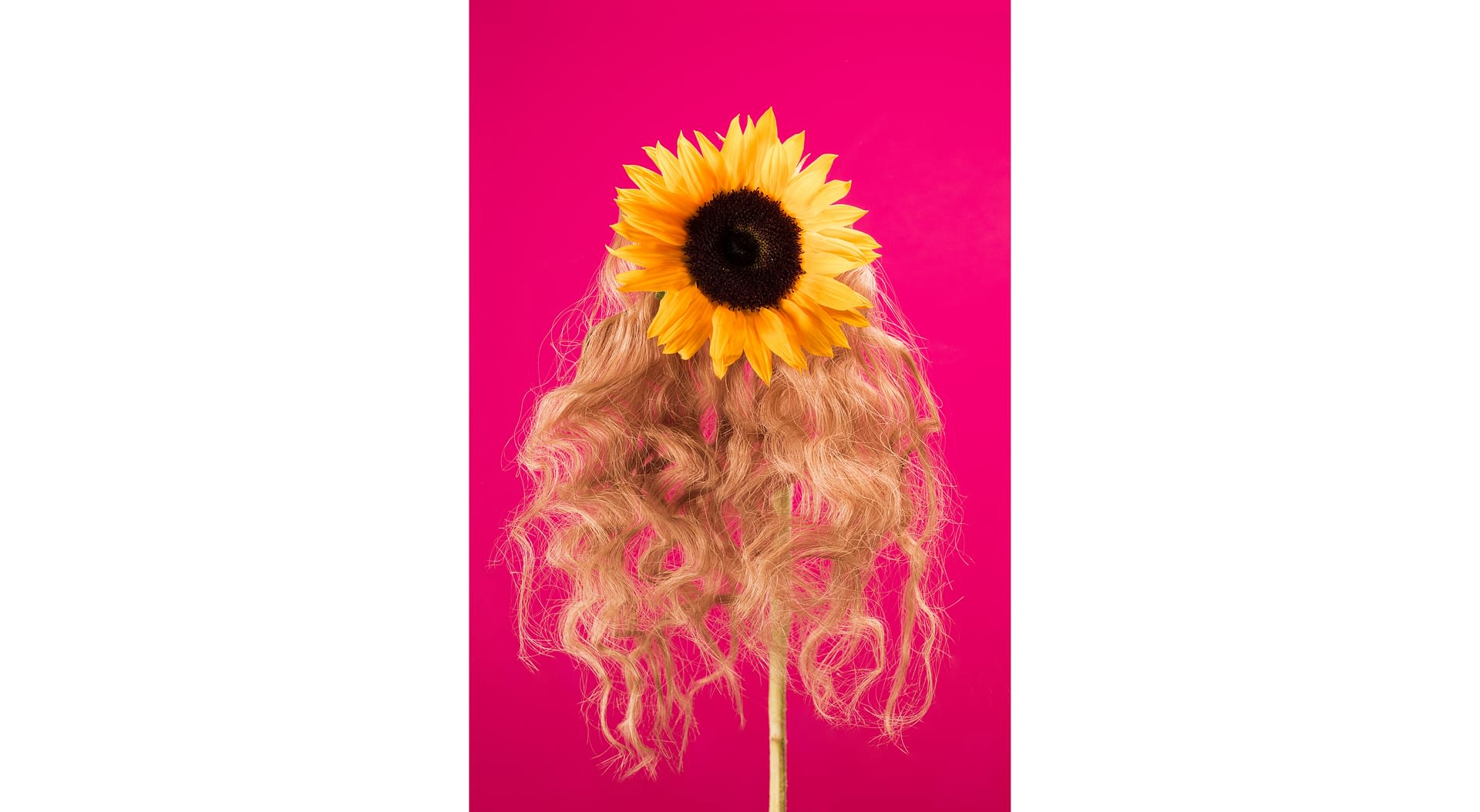 Lolly Spring - Yurina Photographer