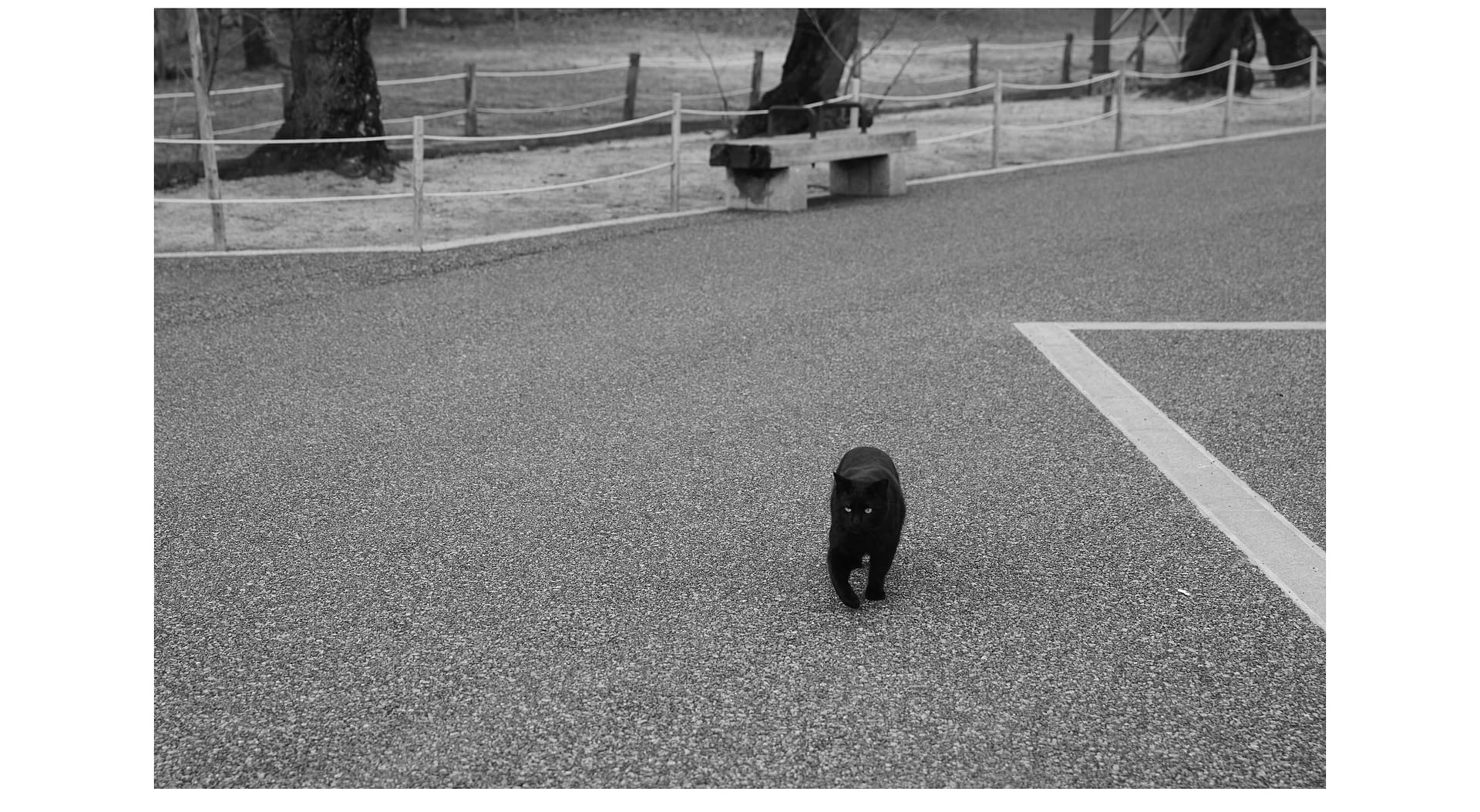 Retour au Pays 1 - Yurina Photographer