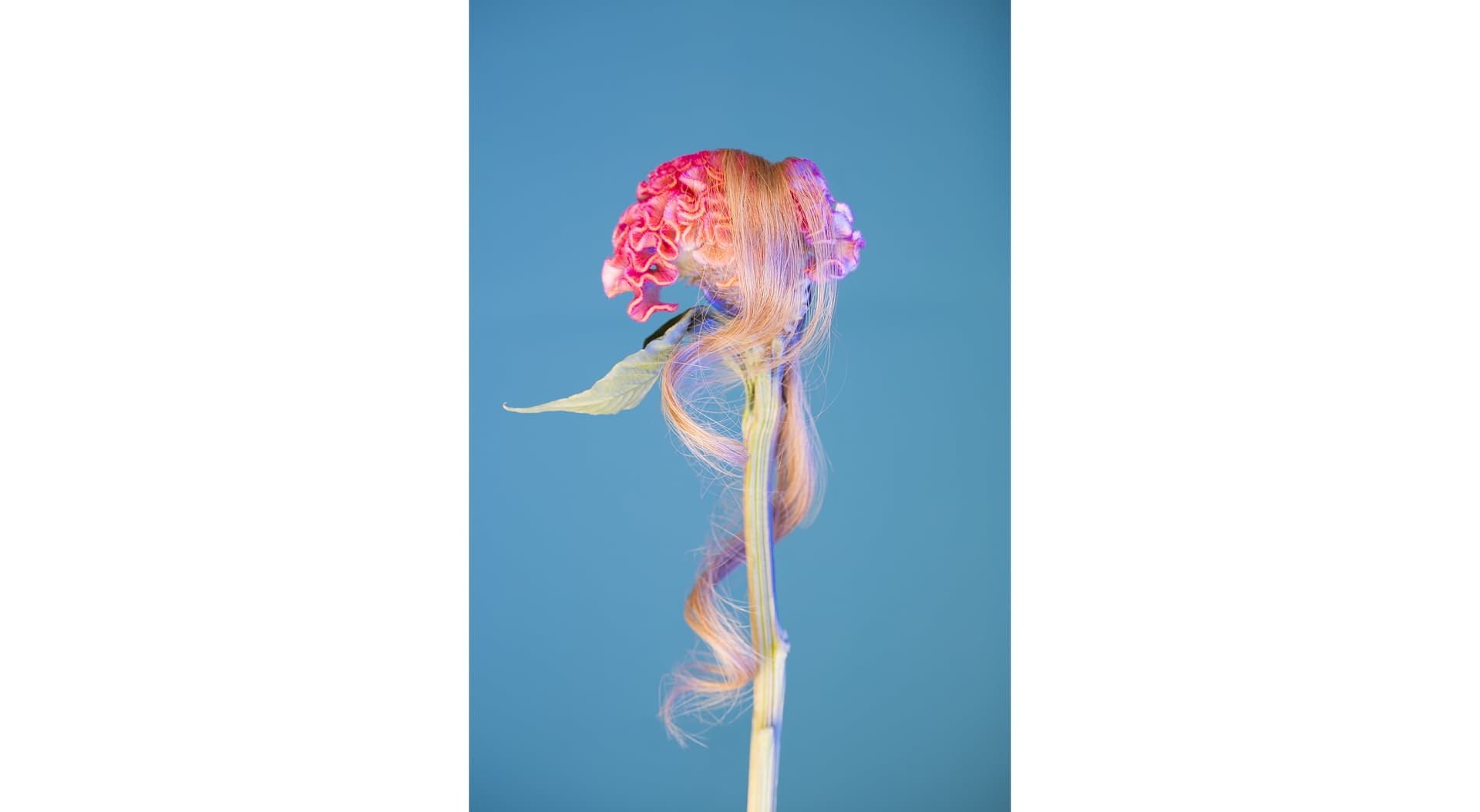 Lolly Spring - Yurina Photographer