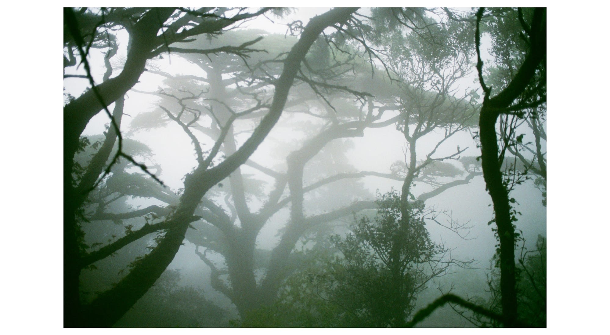 Various Portraits 1 - Yurina Photographer