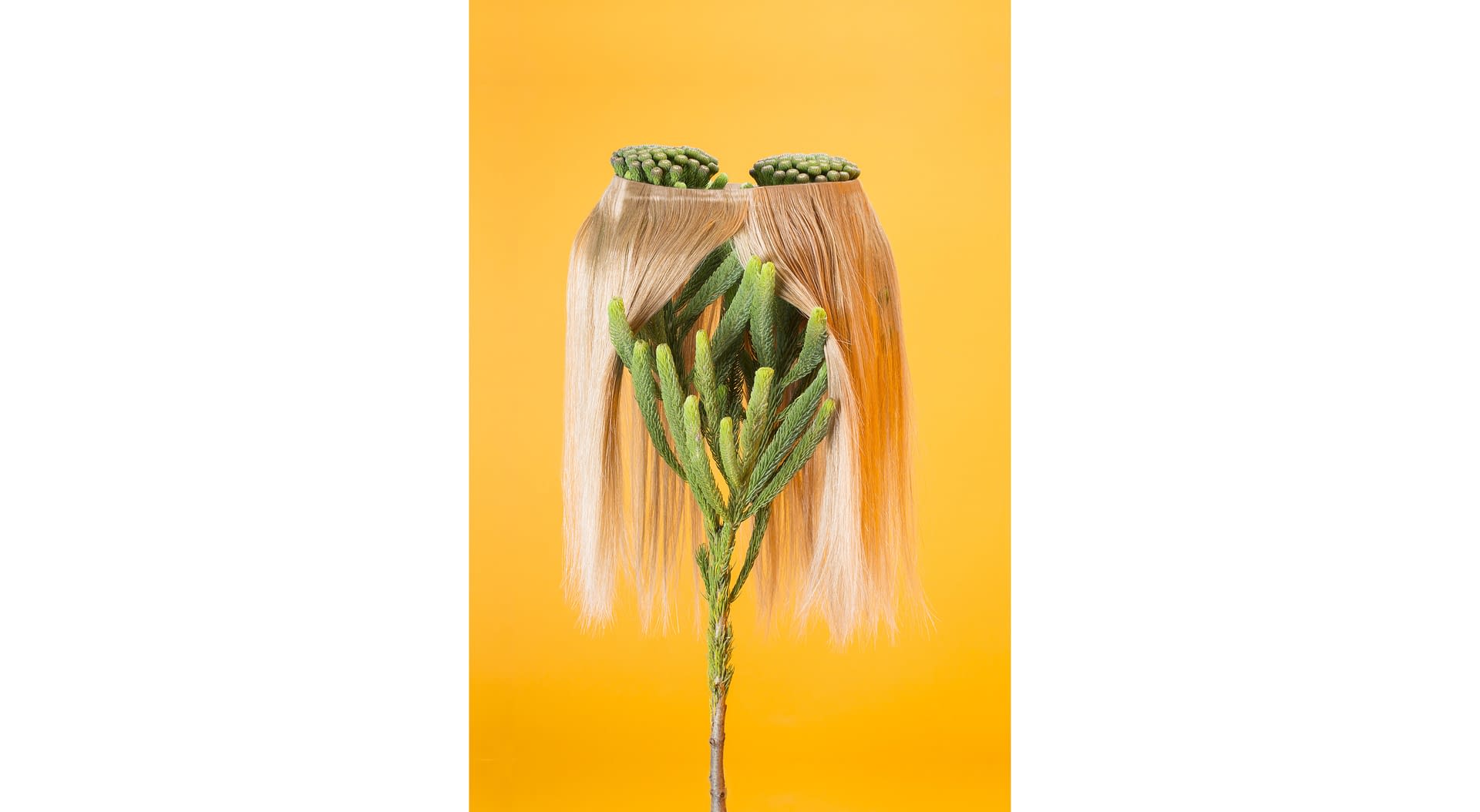 Lolly Spring - Yurina Photographer